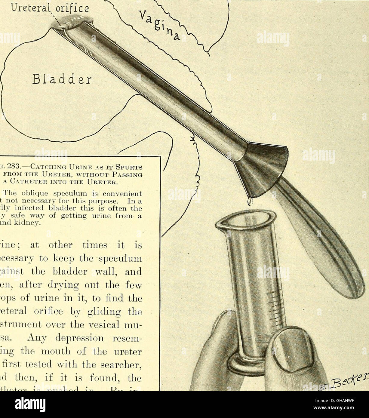 *Operative Gynecology* (1906) is a medical text focusing on surgical ...
