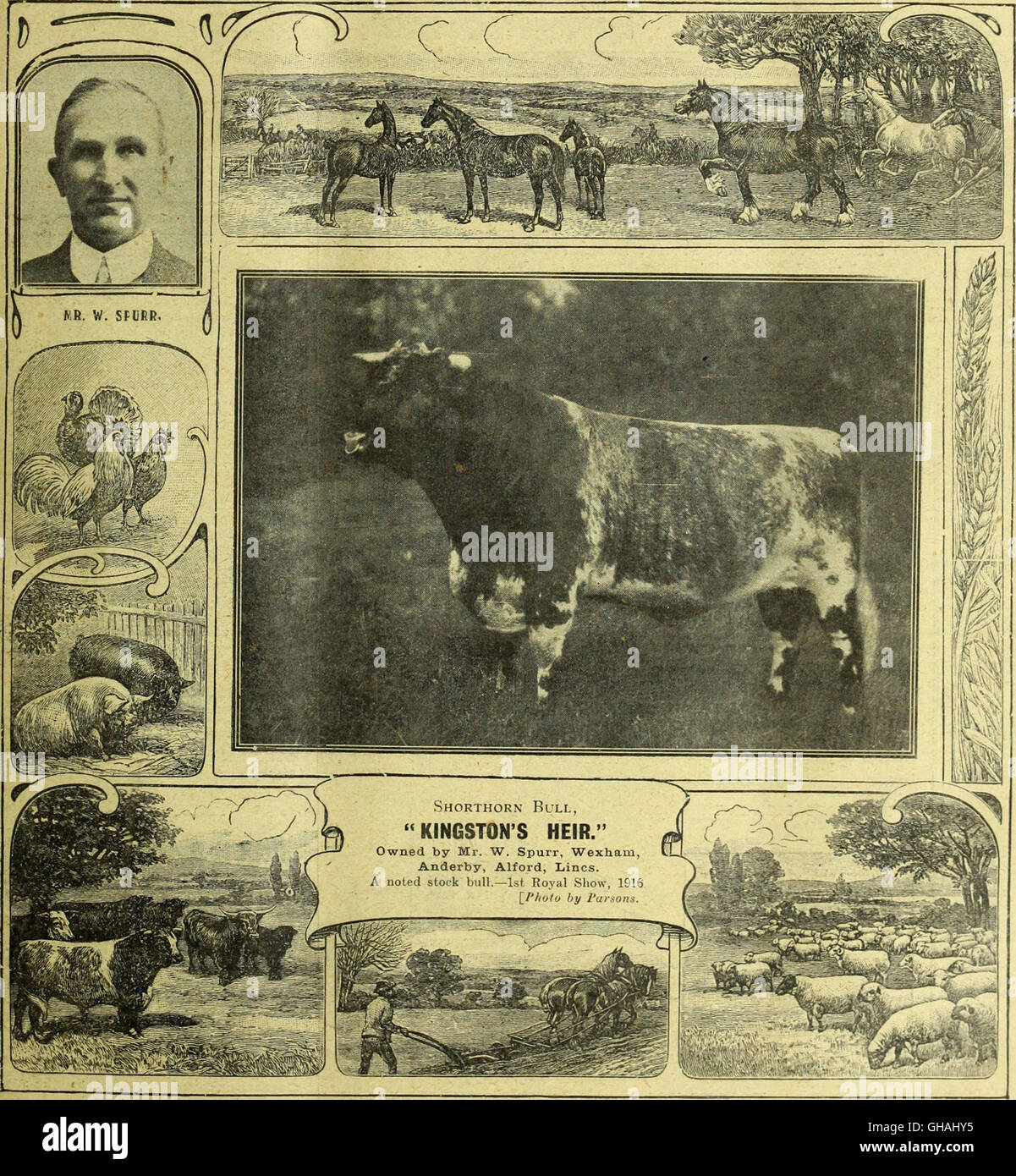 The 1919 publication provides insights into farming and stockbreeding ...