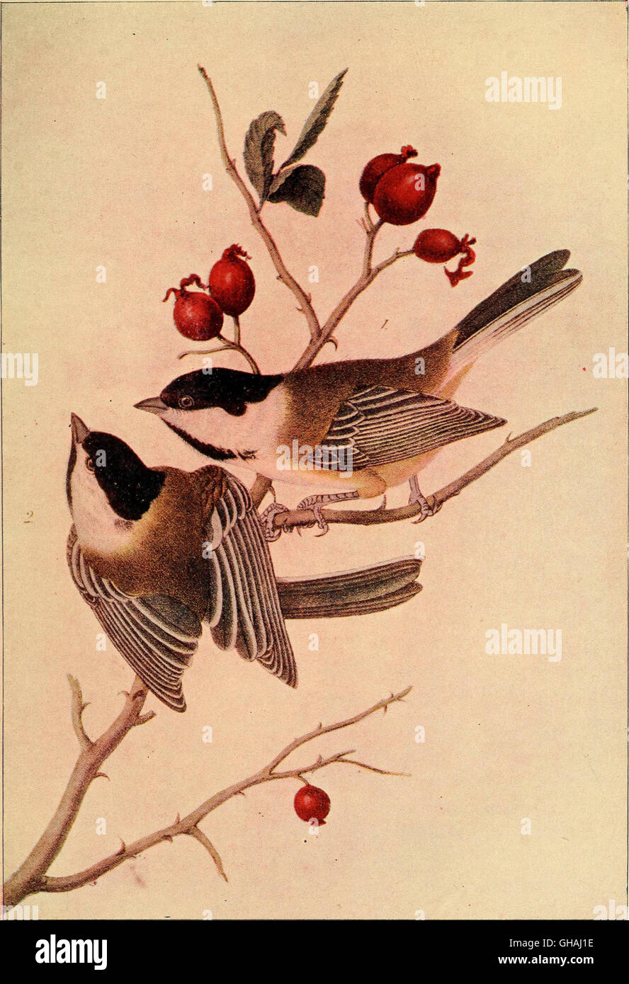 Work focuses on common hi-res stock photography and images - Alamy