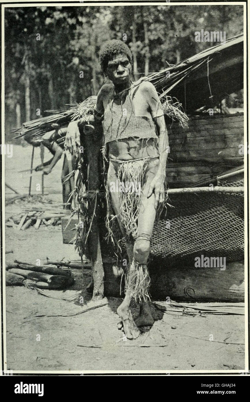 This 1913 account details the expedition into the heart of New Guinea ...