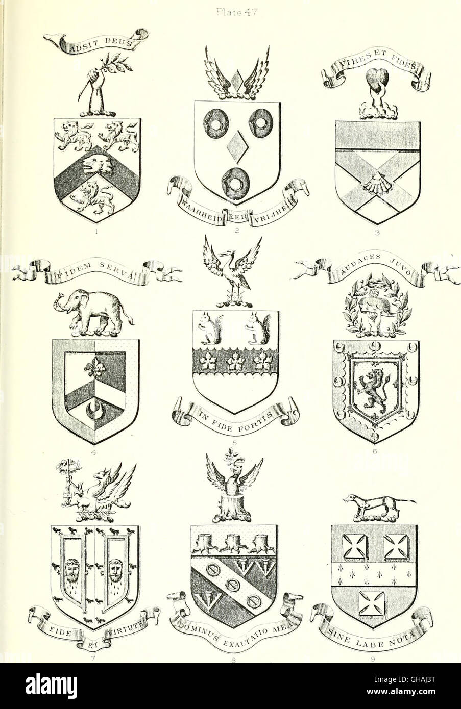 This work is a detailed record of armorial families, including their ...