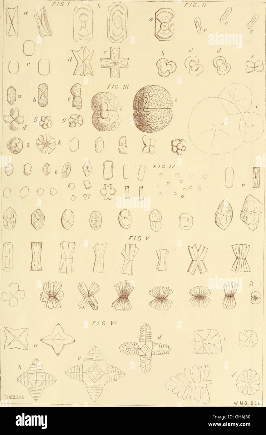 This journal focuses on research in microscopy, presenting scientific ...