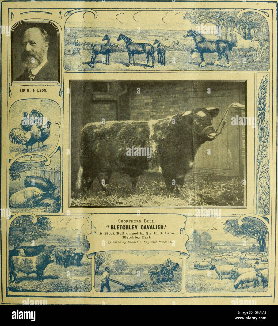 Farmer stockbreeder 1919 hi-res stock photography and images - Alamy