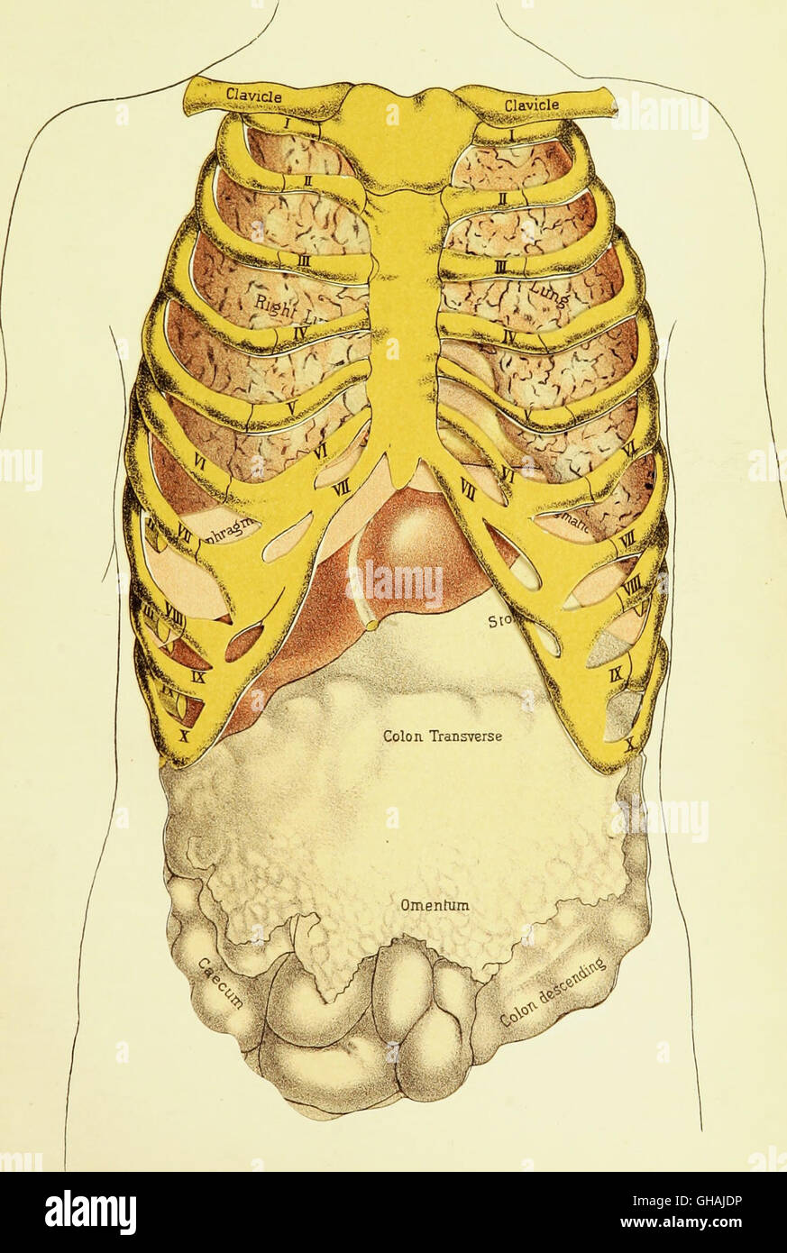 *The Life Insurance Examiner* (1888) is a practical guide detailing the ...