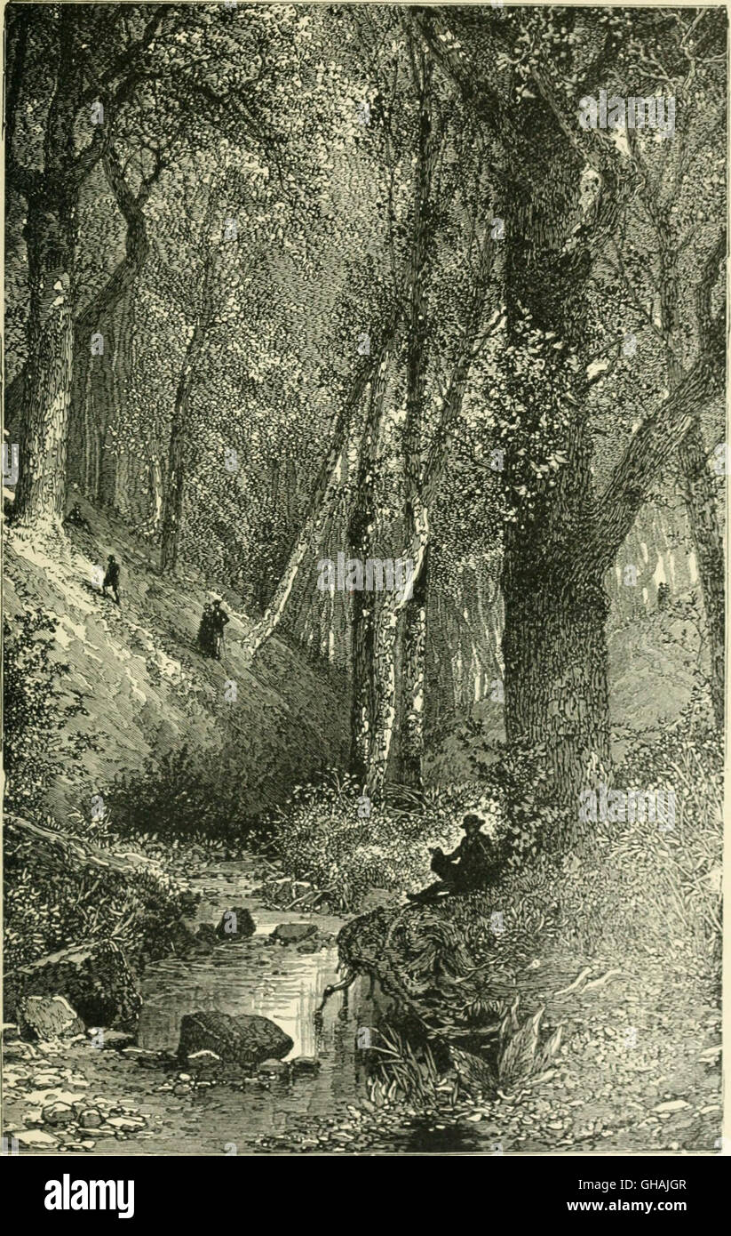 Perfect pearls of poetry and prose; the most unique, touching ...