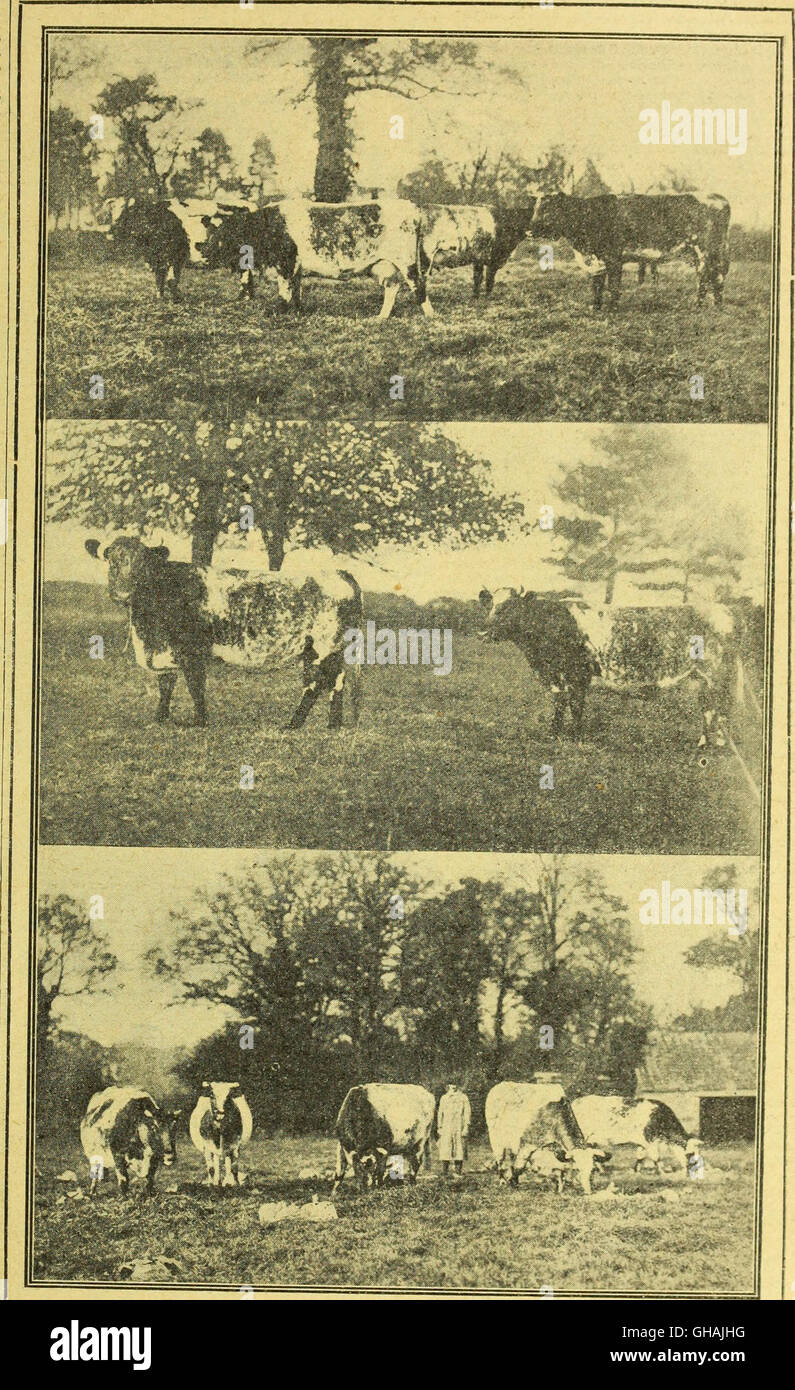 *Farmer and Stockbreeder* (1919) focuses on agricultural practices ...