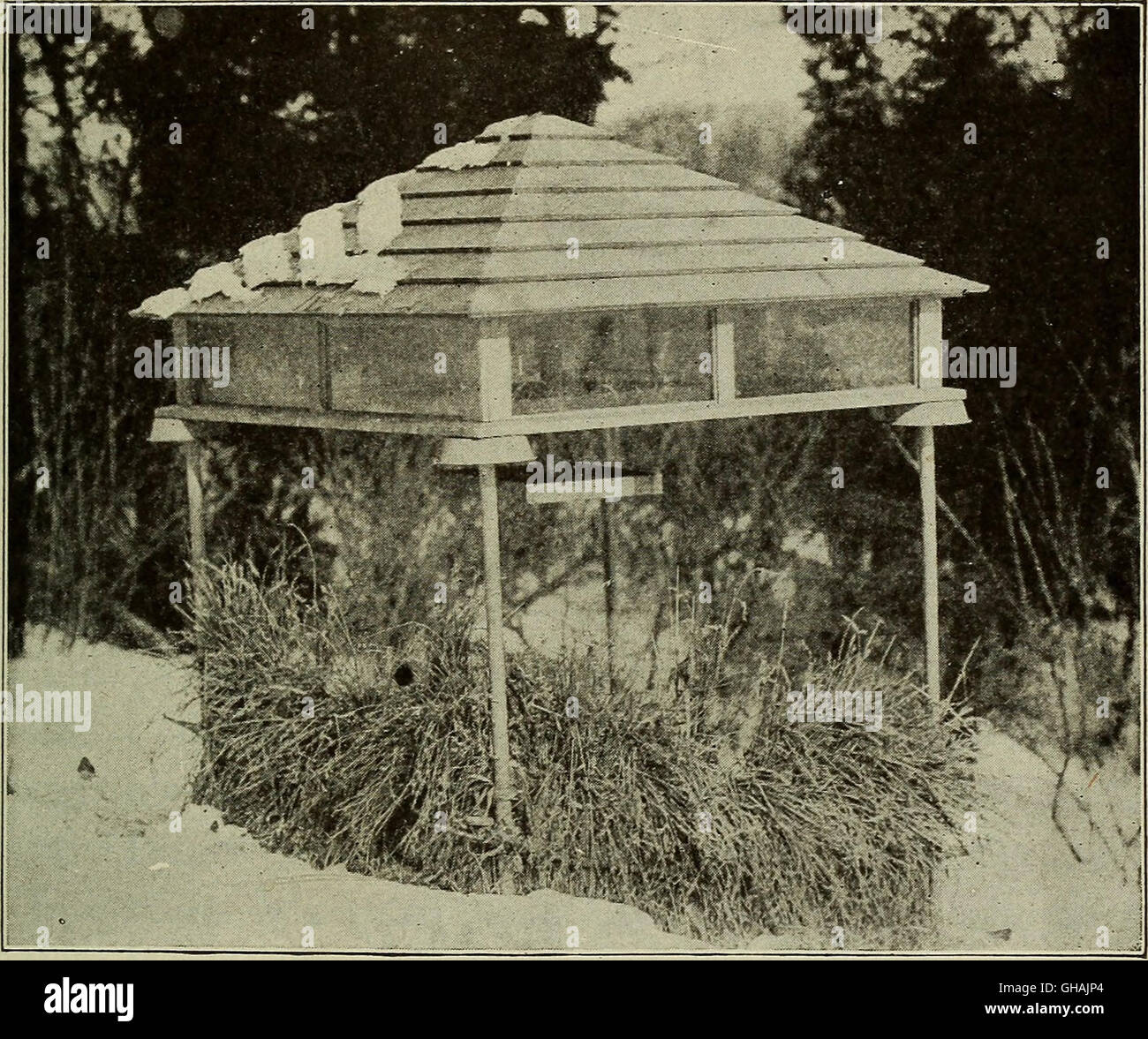*What to Do for Uncle Sam* (1918) is an educational book designed to ...
