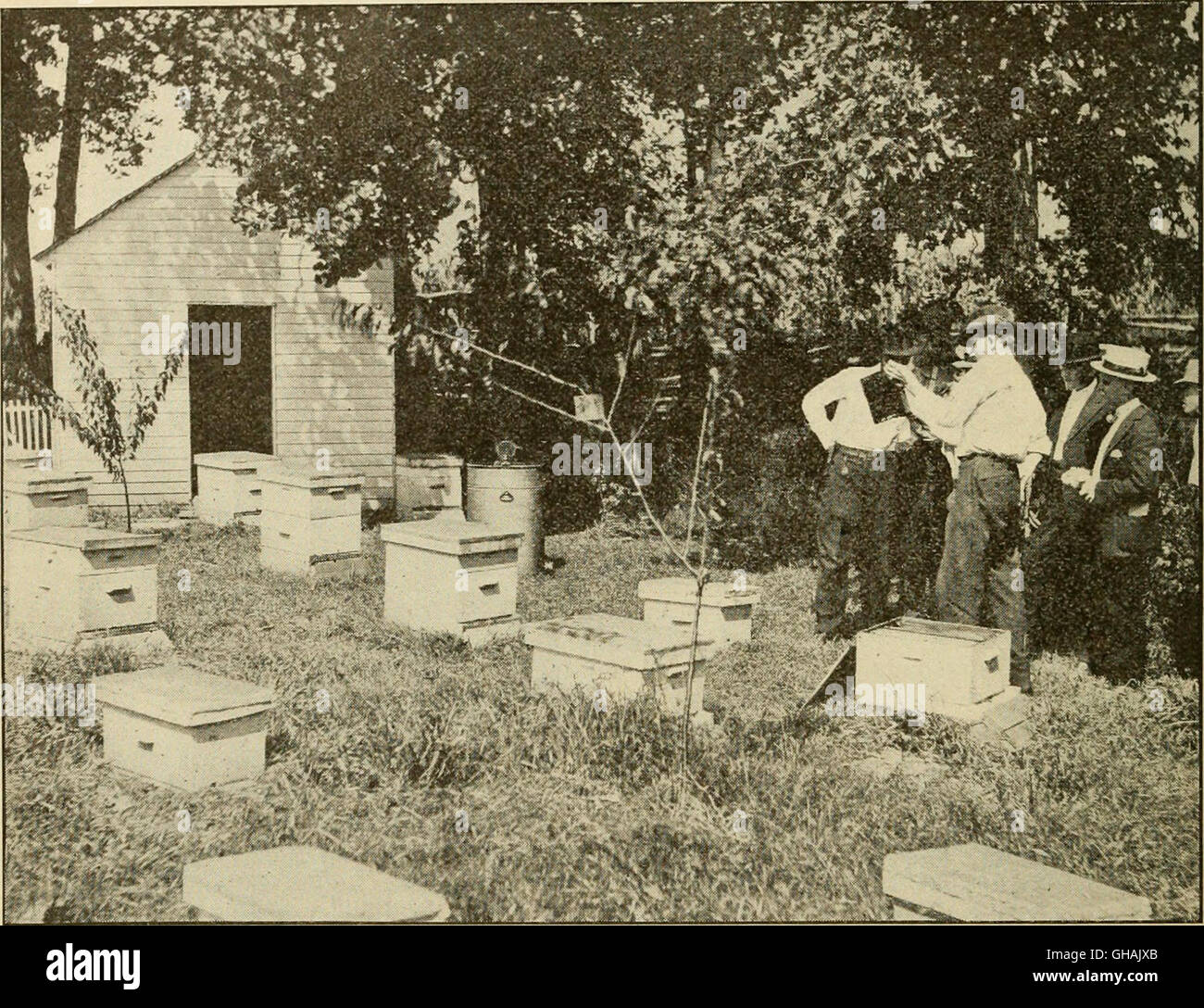 This work, published in 1916, provides detailed insights into the ...