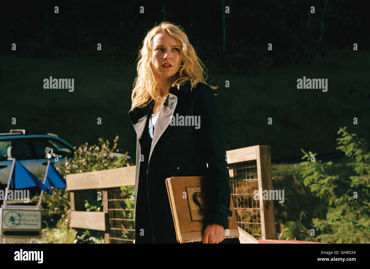 Naomi Watts The Ring Two