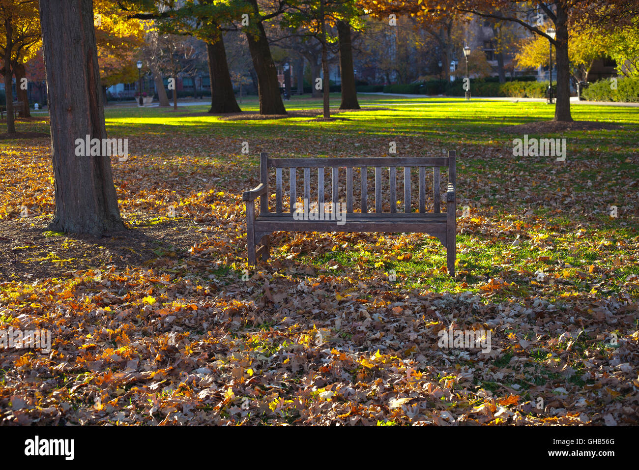 Empty park bench in late autumn afternoon Stock Photo - Alamy
