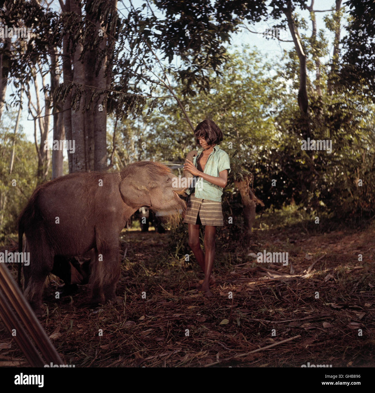 Elephant boy film hi-res stock photography and images - Alamy