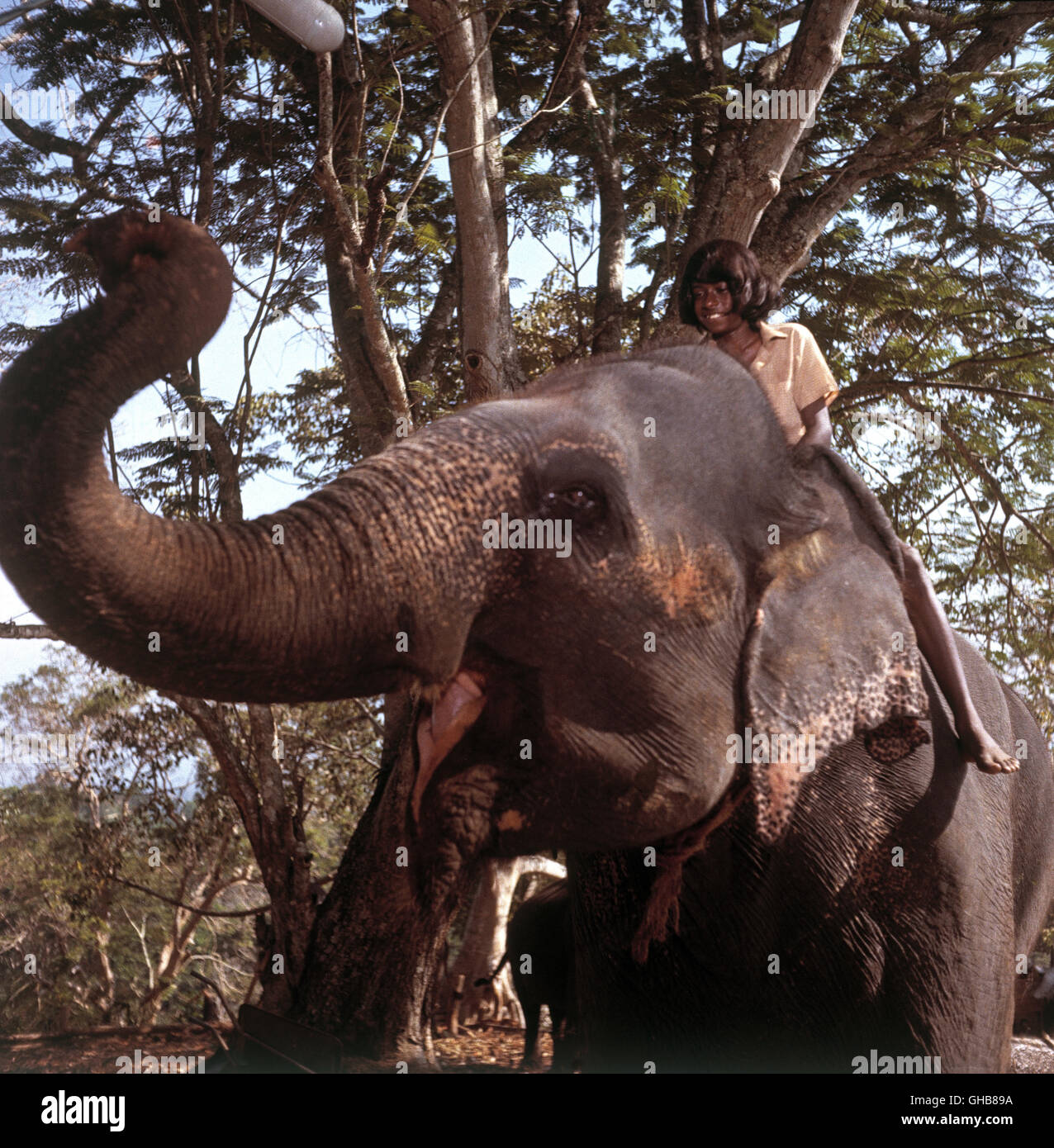 ELEPHANT BOY Ladies in Lavender Australia/UK/D 1973 Bill Bain Toomai ...