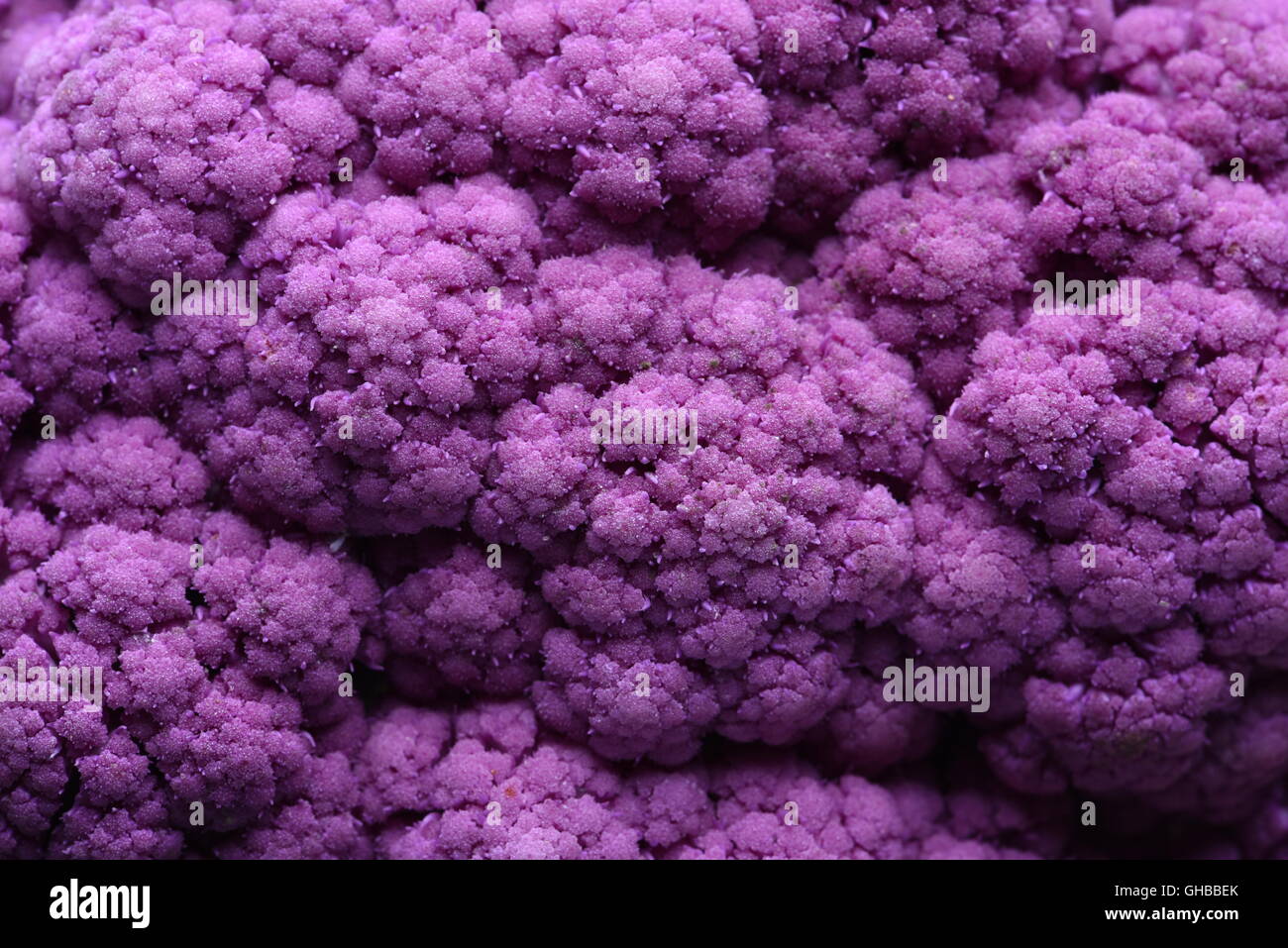 Purple cauliflower closeup Stock Photo - Alamy