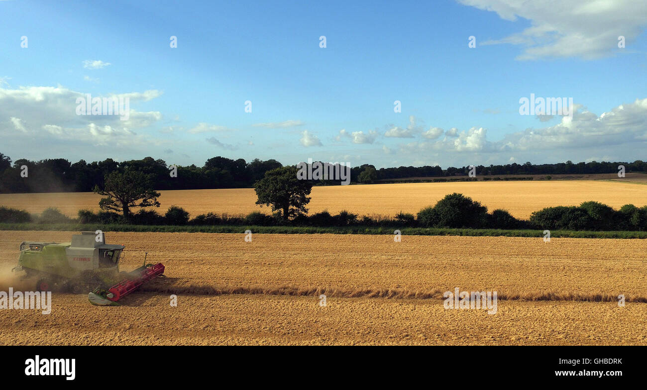 An aerial view of a combine harvester working in a field of Barley in ...