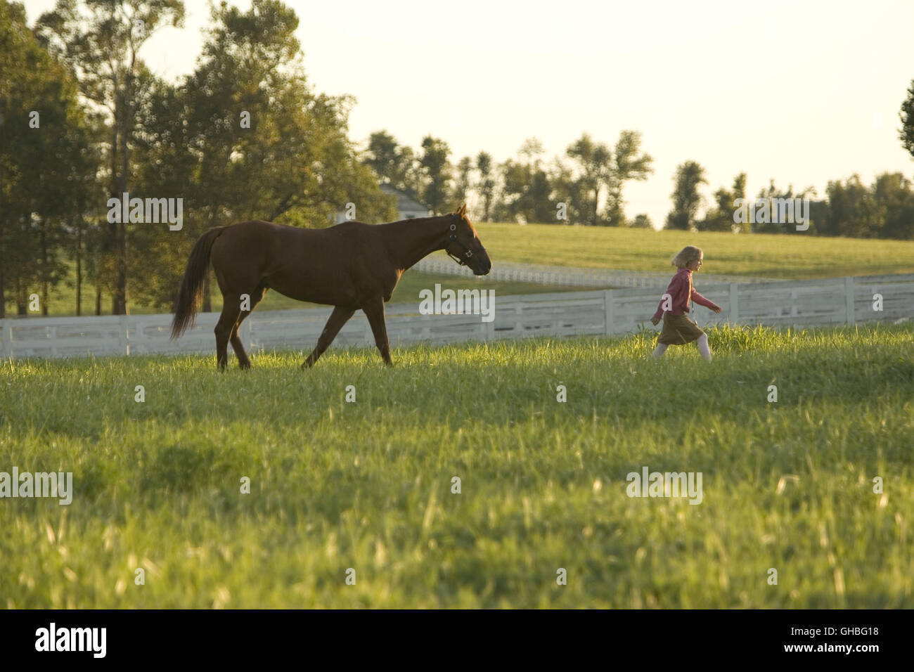 DREAMER - EIN TRAUM WIRD WAHR Dreamer: Inspired by a True Story USA ...