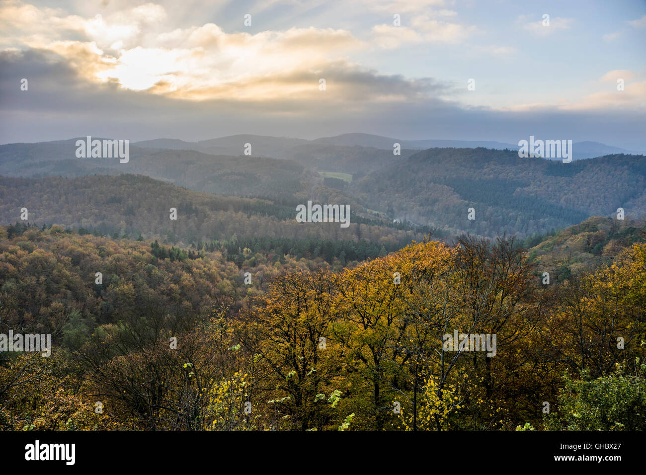 Thuringian Forests Stock Photos & Thuringian Forests Stock Images - Alamy