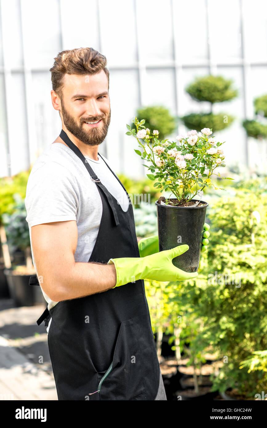 Attractive Male Gardener High Resolution Stock Photography and Images ...