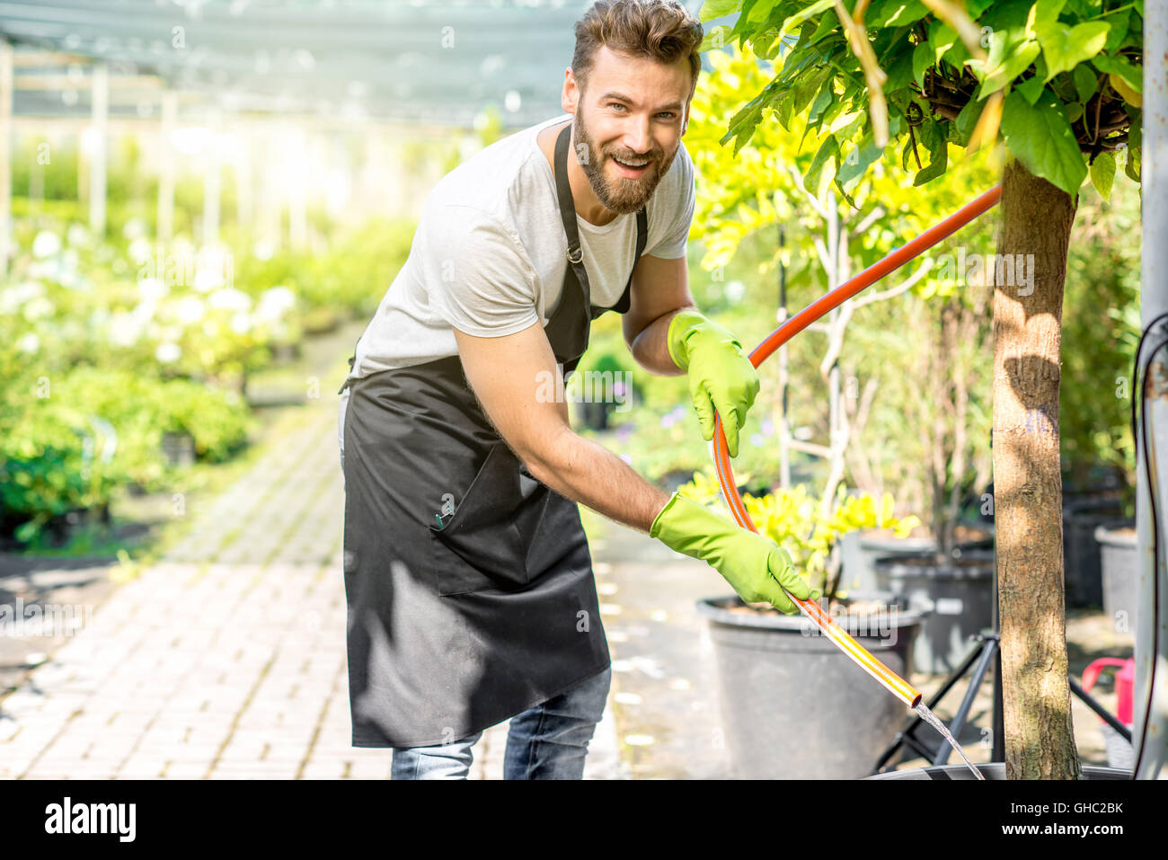 Handsome gardener watering tree Stock Photo - Alamy