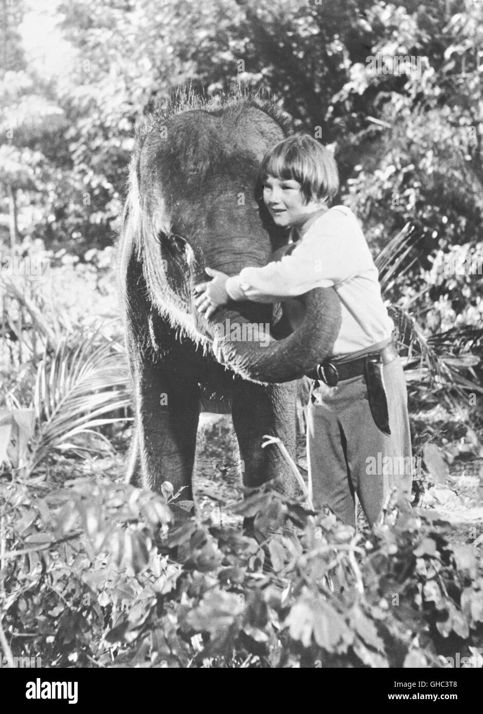 Kevin Corcoran Swiss Family Robinson