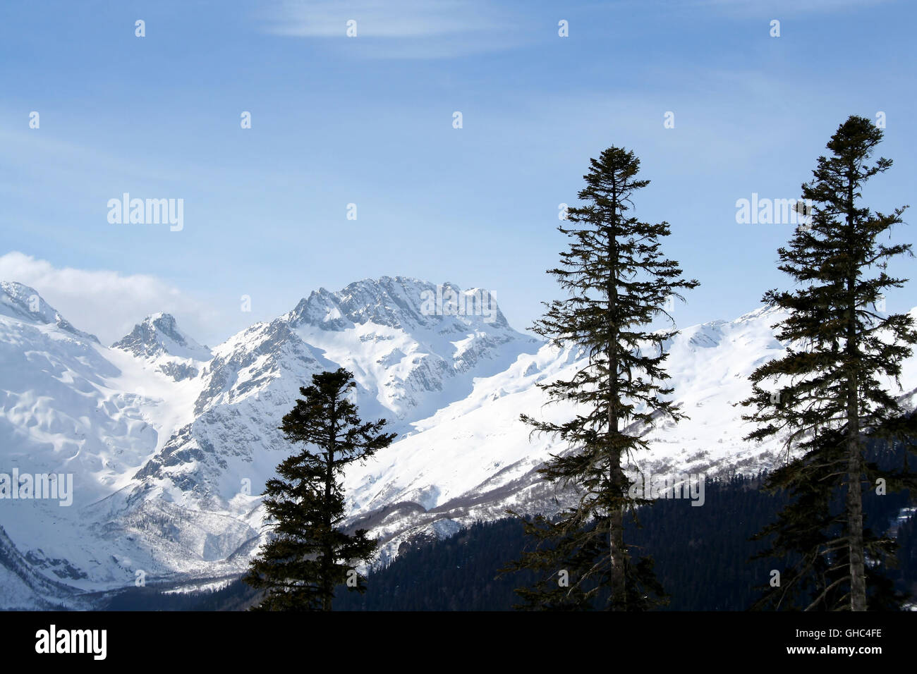 Tree on a mountain slope Stock Photo - Alamy