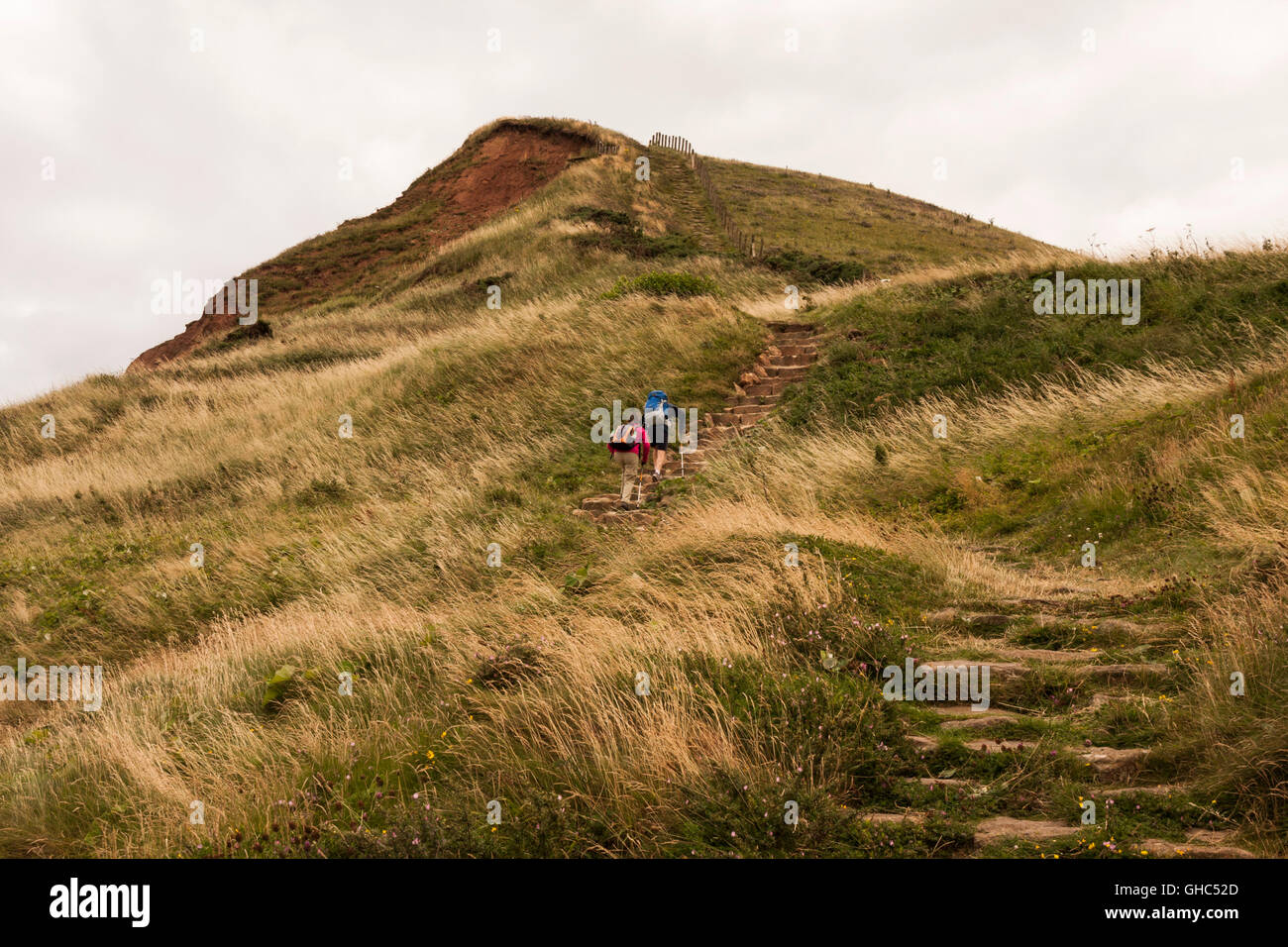 A male and female hikers climbing the steep hills on the Cleveland Way ...