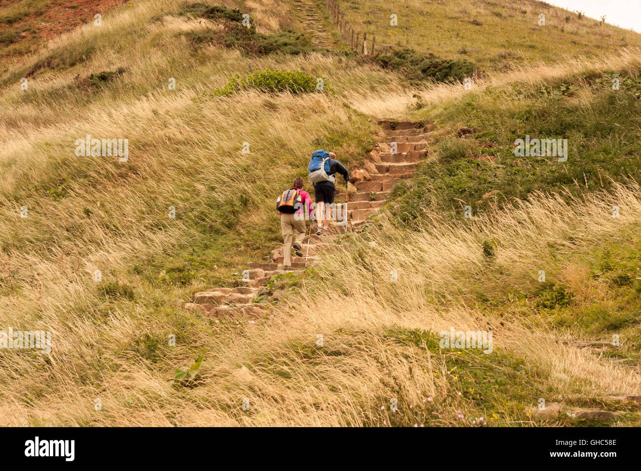 A male and female hikers climbing the steep hills on the Cleveland Way ...