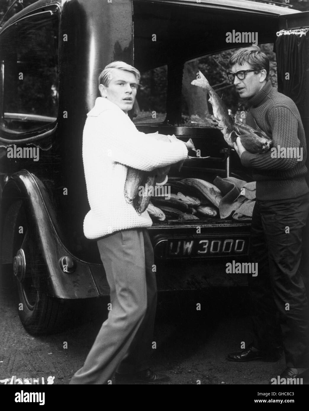 WHAT A WHOPPER UK 1961 Gilbert Gunn Tony Blake (ADAM FAITH) and Vernon ...