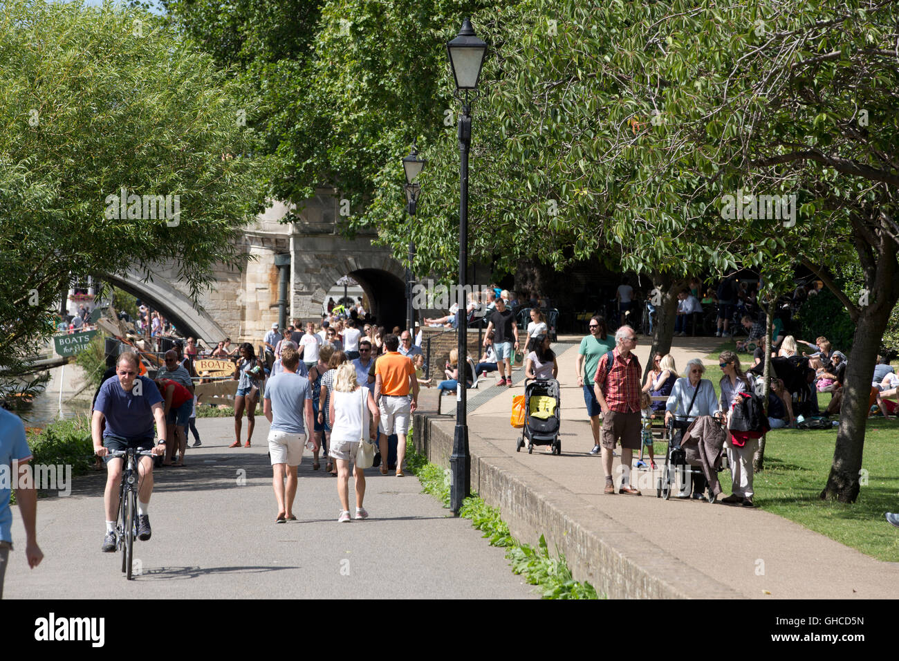 Richmond Upon Thames, river life along the River Thames path, which ...