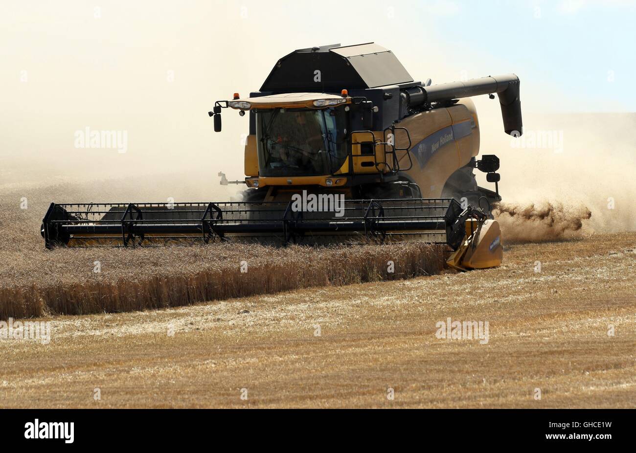 Combine harvester at work uk hi-res stock photography and images - Alamy
