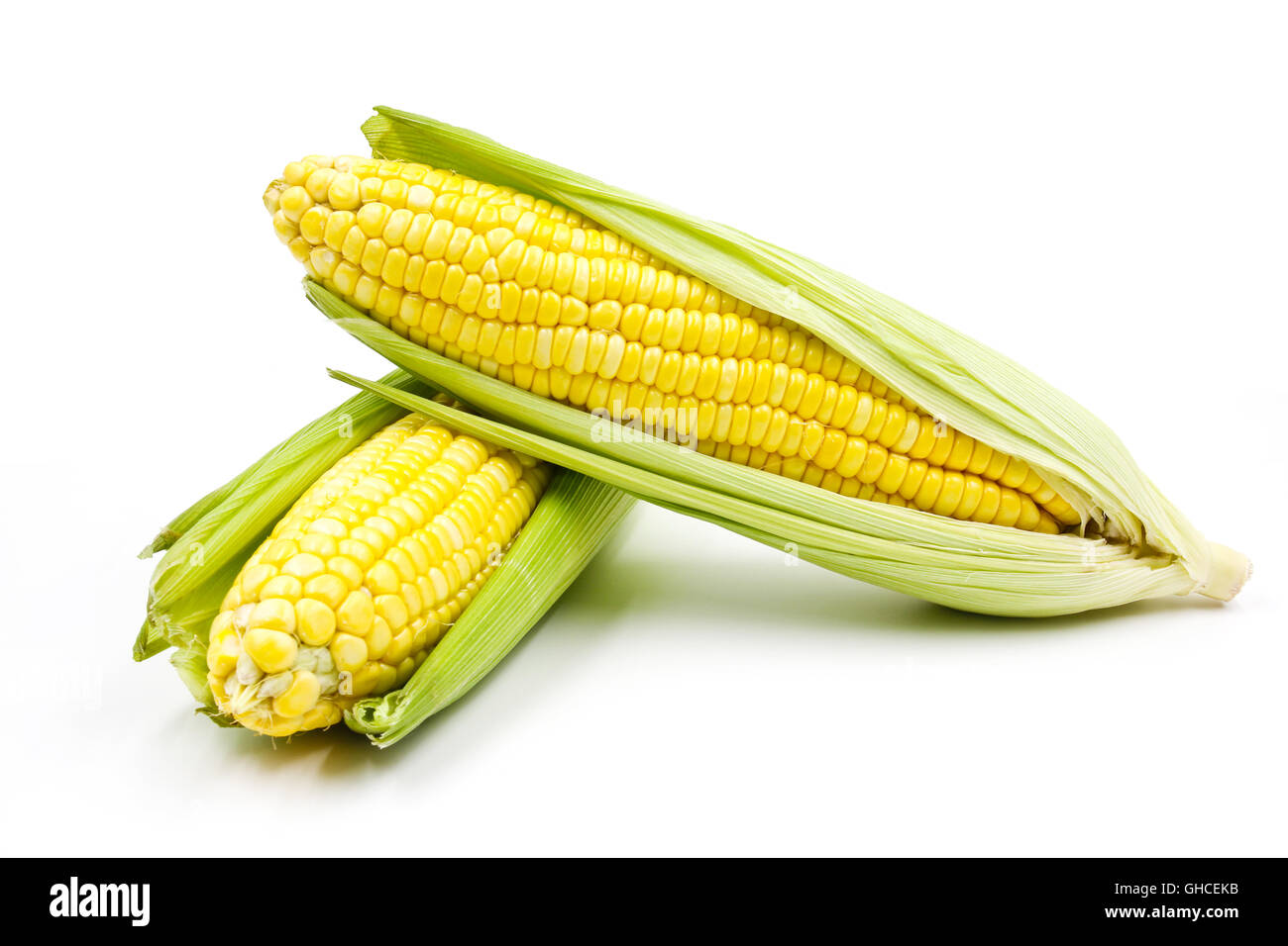 Corn on white background Stock Photo - Alamy