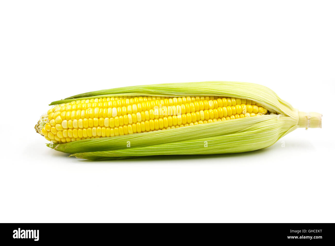 Corn on white background Stock Photo - Alamy