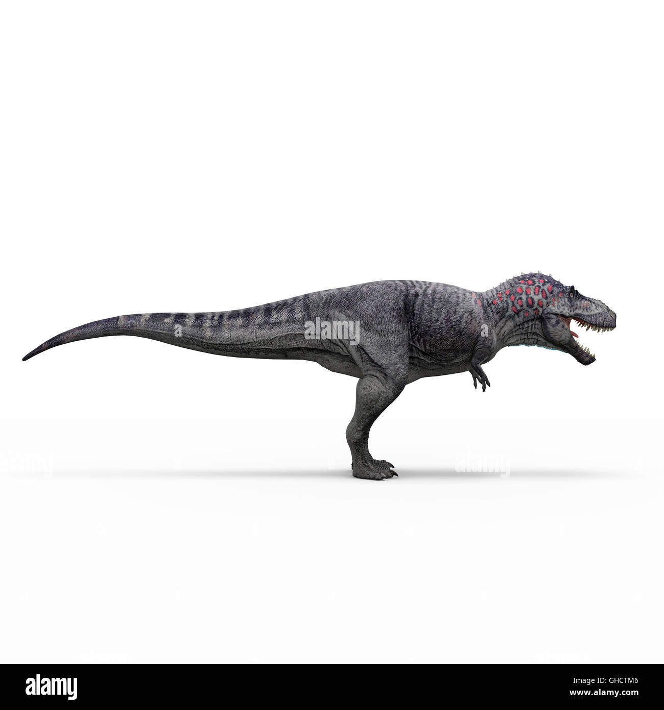 Dinosaur Revolution Tyrannosaurus Rex Female
