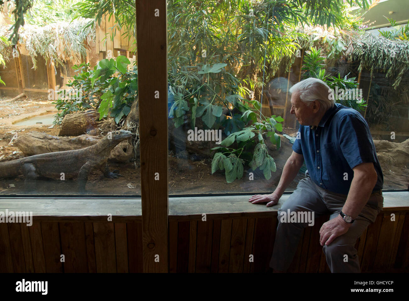 Sir David Attenborough with Ganas, a six year old Komodo dragon, after ...
