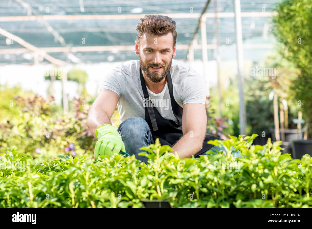 Attractive male gardener hi-res stock photography and images - Alamy