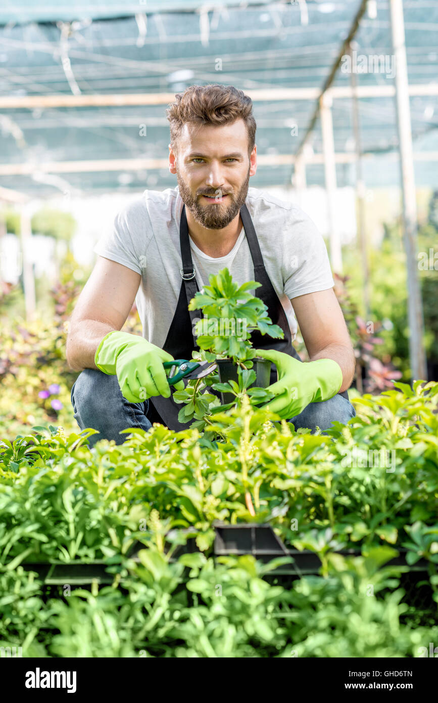 Handsome man gardener in apron hi-res stock photography and images - Alamy
