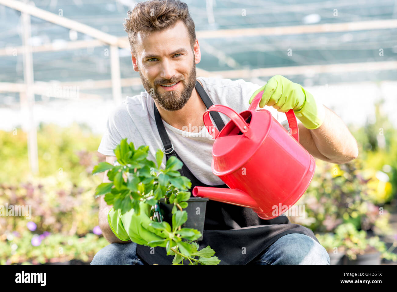 Gardener watering plants Stock Photo - Alamy