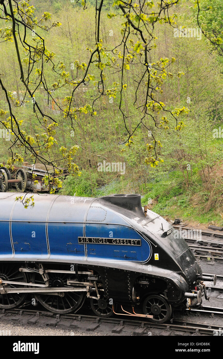 Preserved class A4 Pacific steam locomotive "Sir Nigel Gresley" at ...