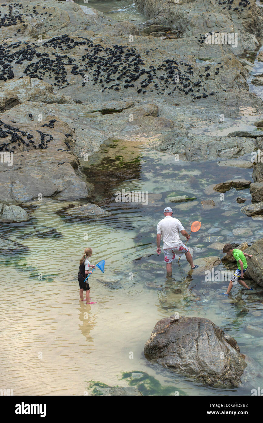Holidaymakers exploring rock pools on Porth Beach in Newquay, Cornwall ...