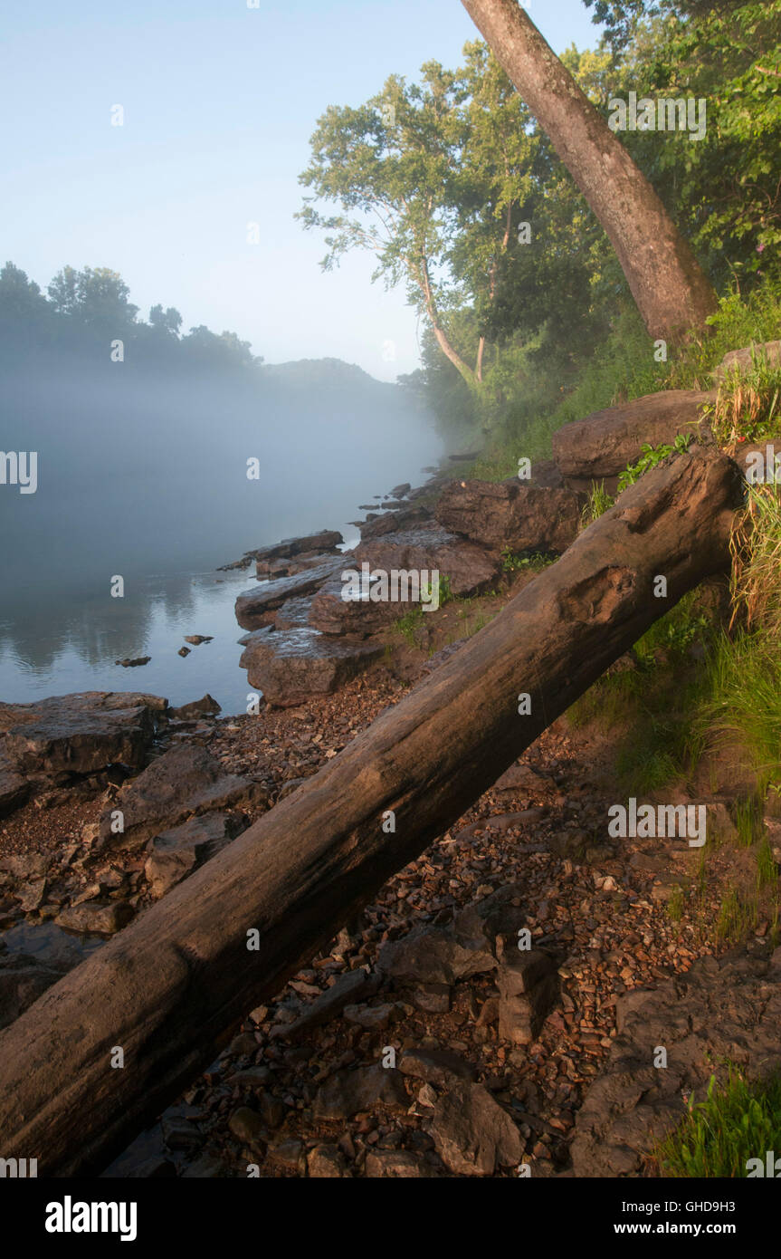 Fallen tree trunk by a river in rural north Arkansas Stock Photo - Alamy