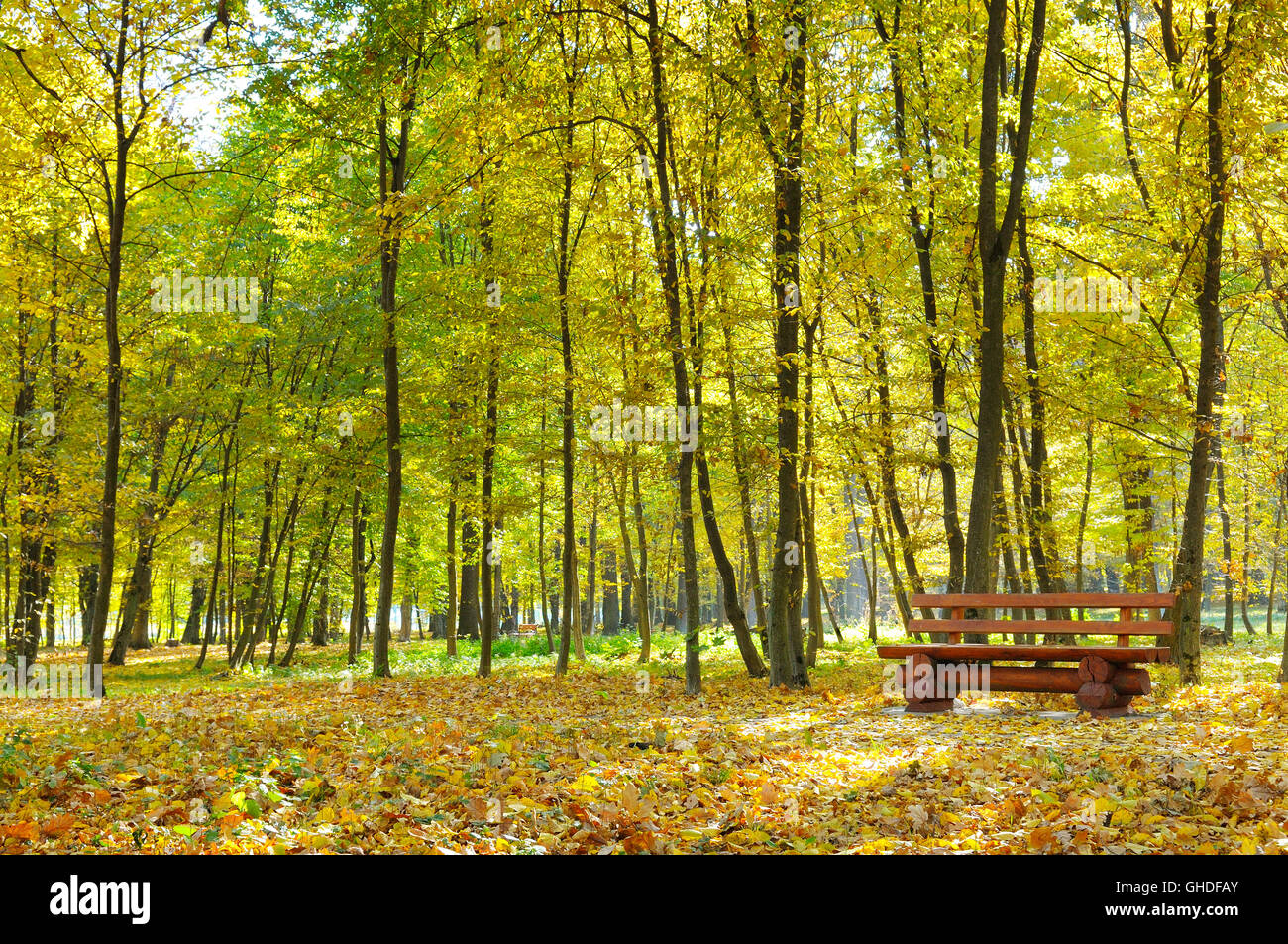 autumn park with path and bench Stock Photo - Alamy
