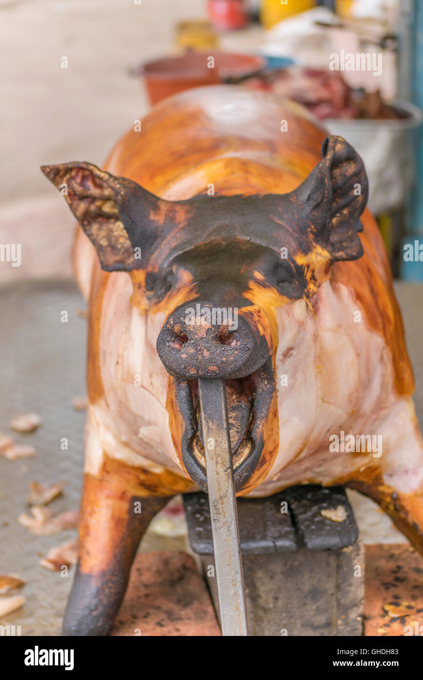 Big roasted pig which is a traditional food in the ecuadorian andes ...