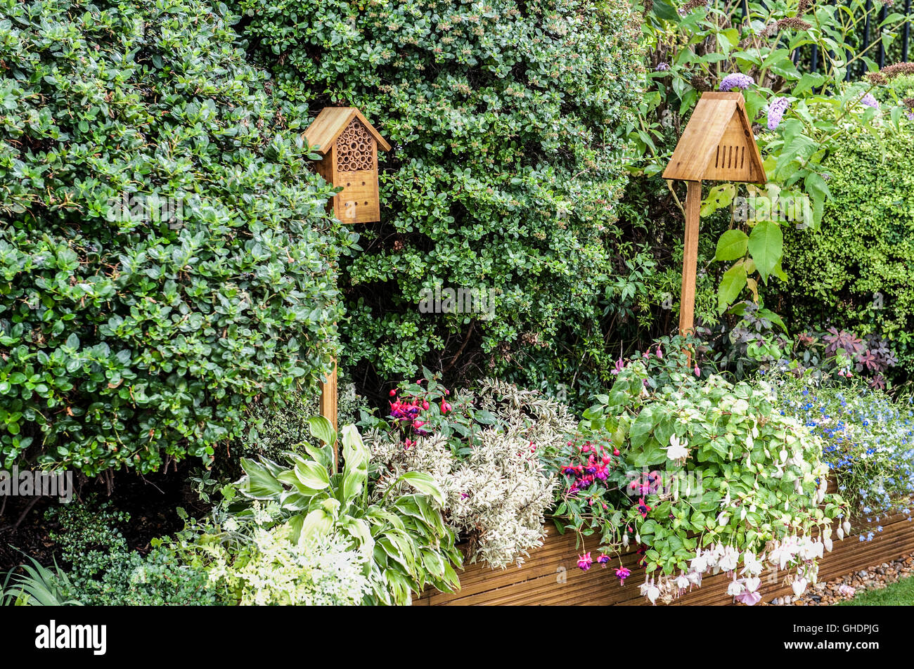 Insect Nest Boxes in garden Kent UK Stock Photo - Alamy