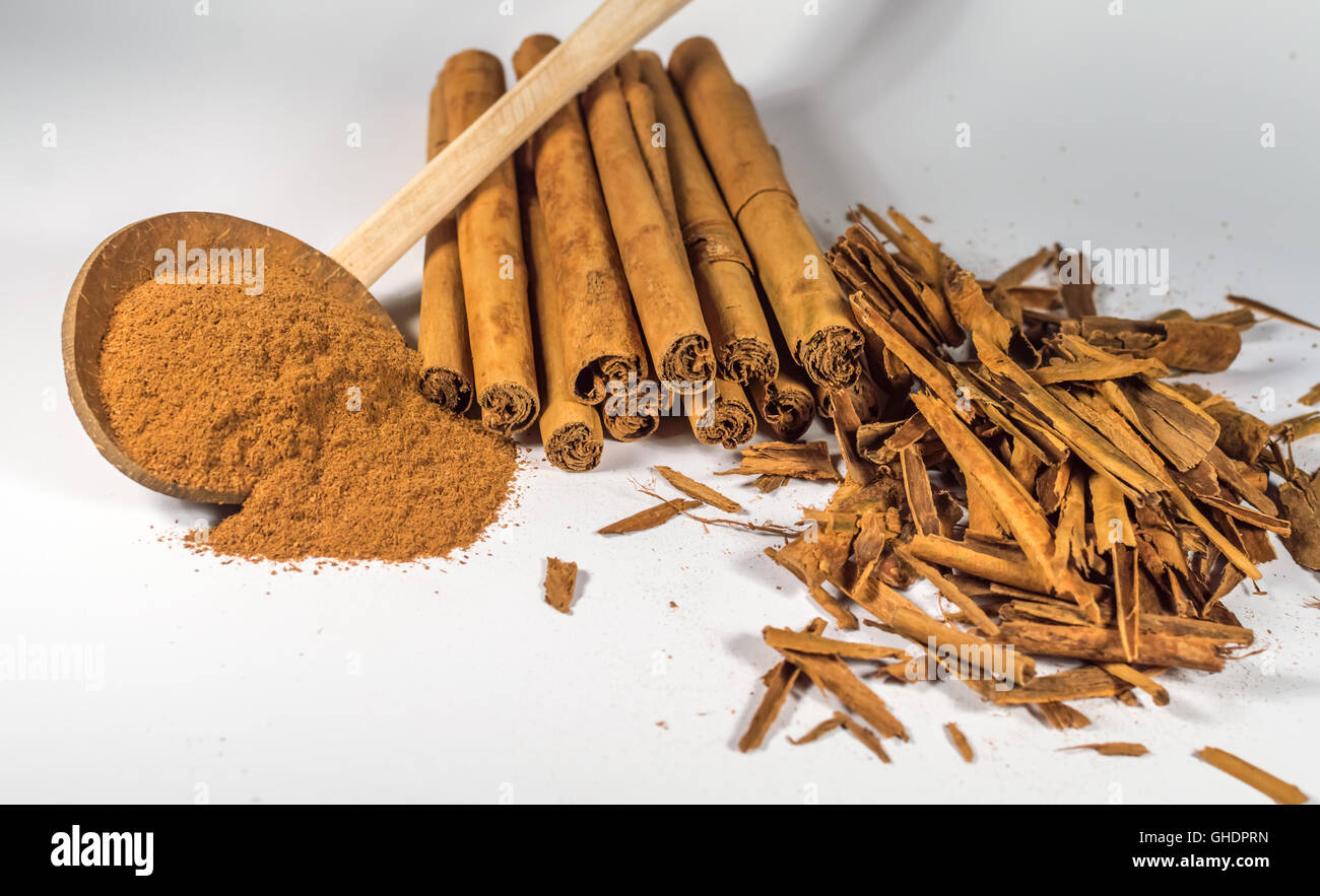 Cinnamon Stick Plant