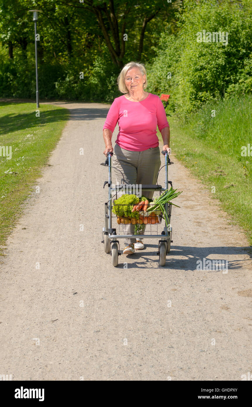 Elderly handicapped woman using a walker for mobility to do her grocery ...