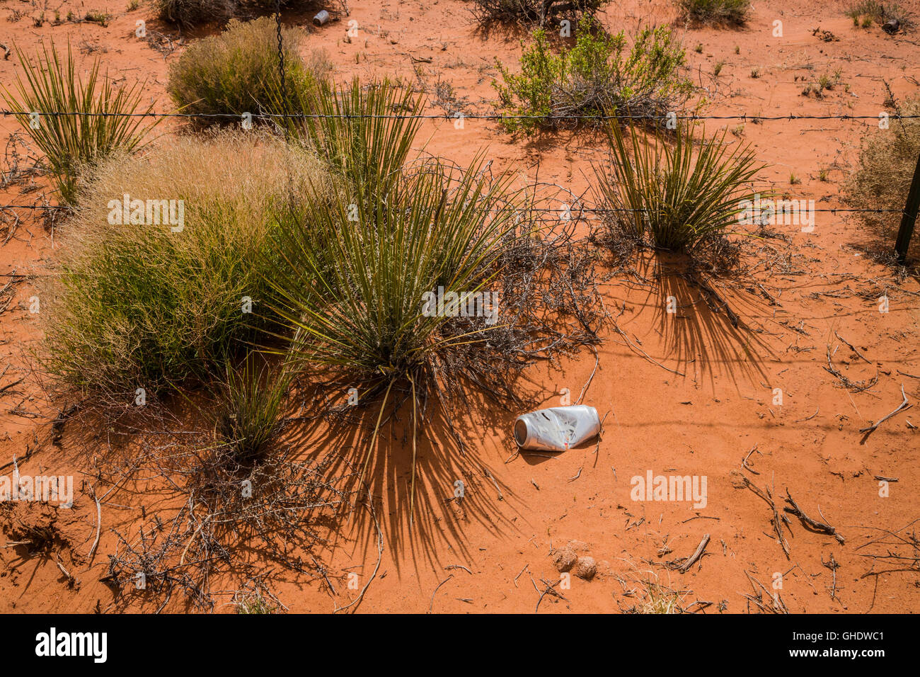 Drinks can in desert in Monument Valley in USA Stock Photo - Alamy