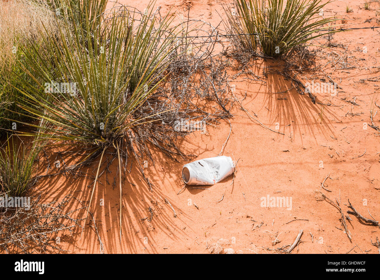 Drinks can in desert in Monument Valley in USA Stock Photo - Alamy