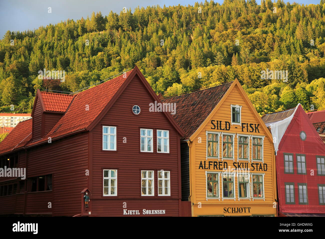 Historic Hanseatic League wooden buildings Bryggen area, Bergen, Norway ...