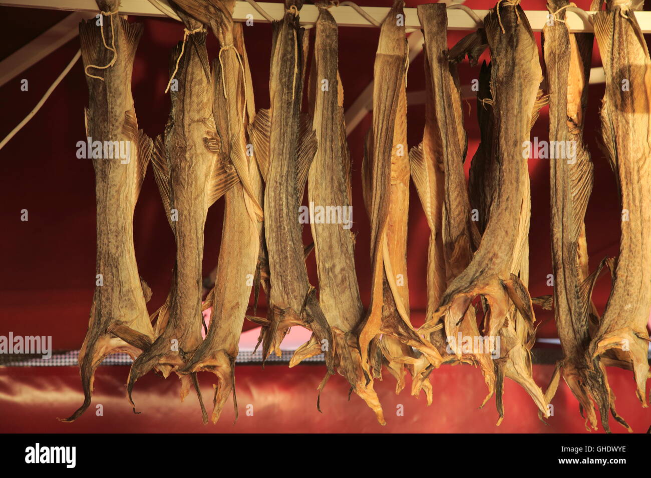 Dried cod hanging in fish market Torget market square area of Vågen ...