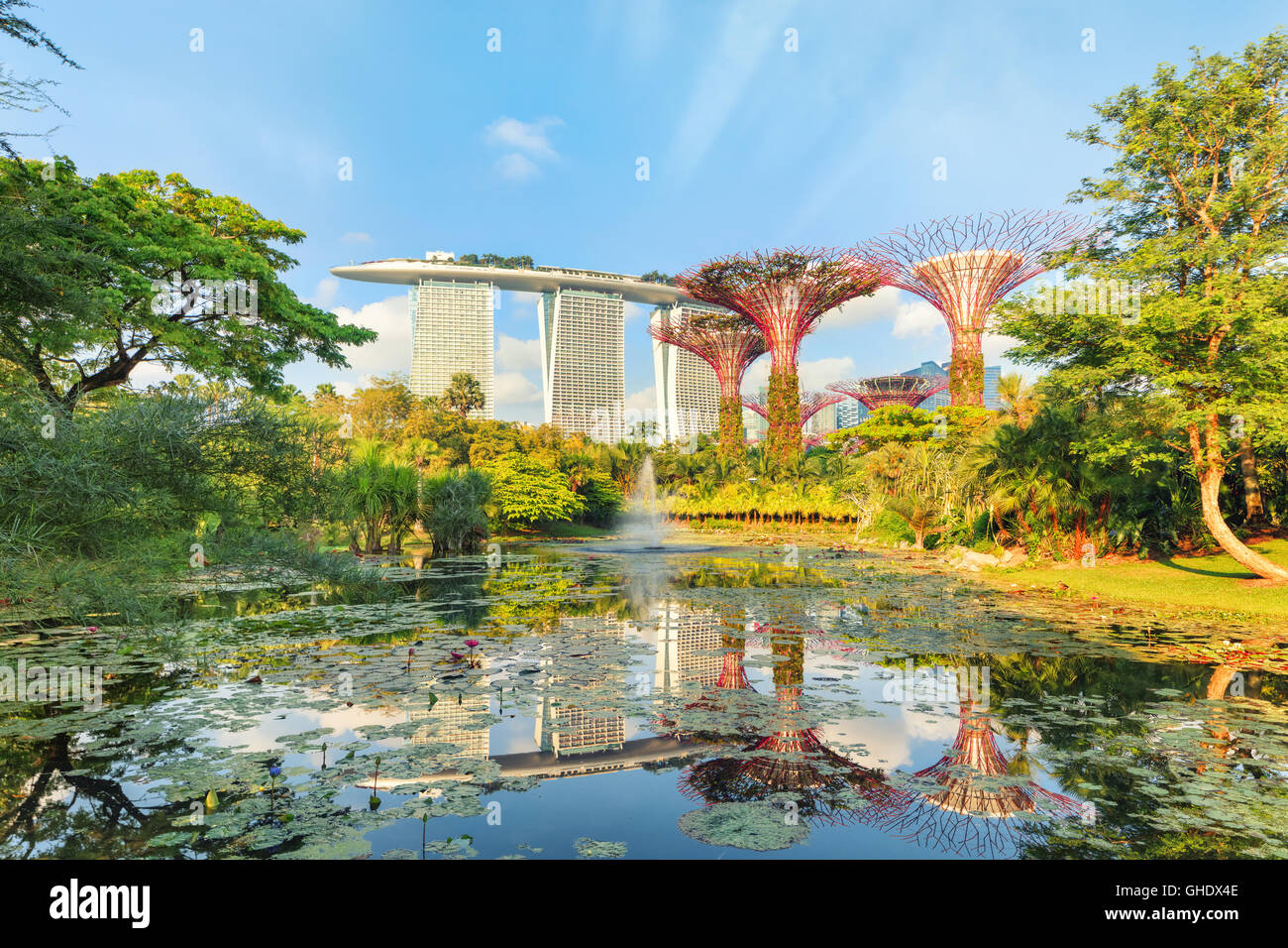 Grove at sunrise hi-res stock photography and images - Alamy