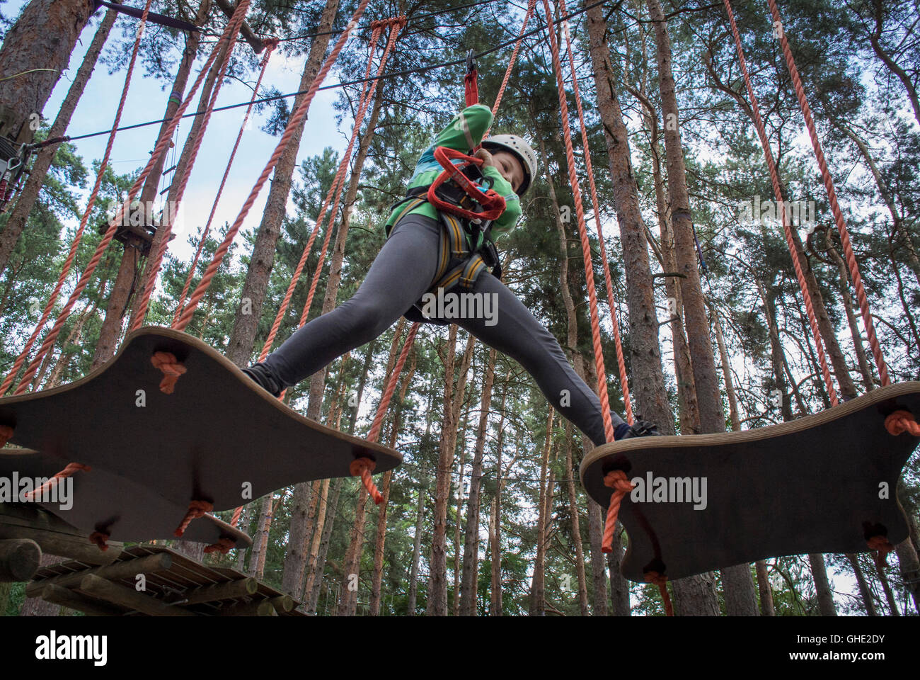 Adventure park treetop hi-res stock photography and images - Alamy